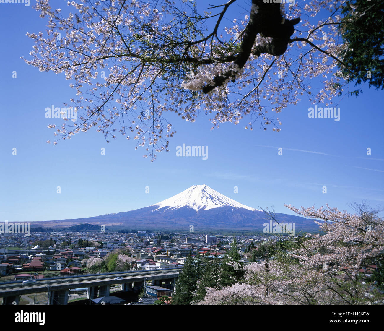 Japan, Honshu, Fujiyoshida, town overview, Mt. Fuji, 3776 m, cherry ...