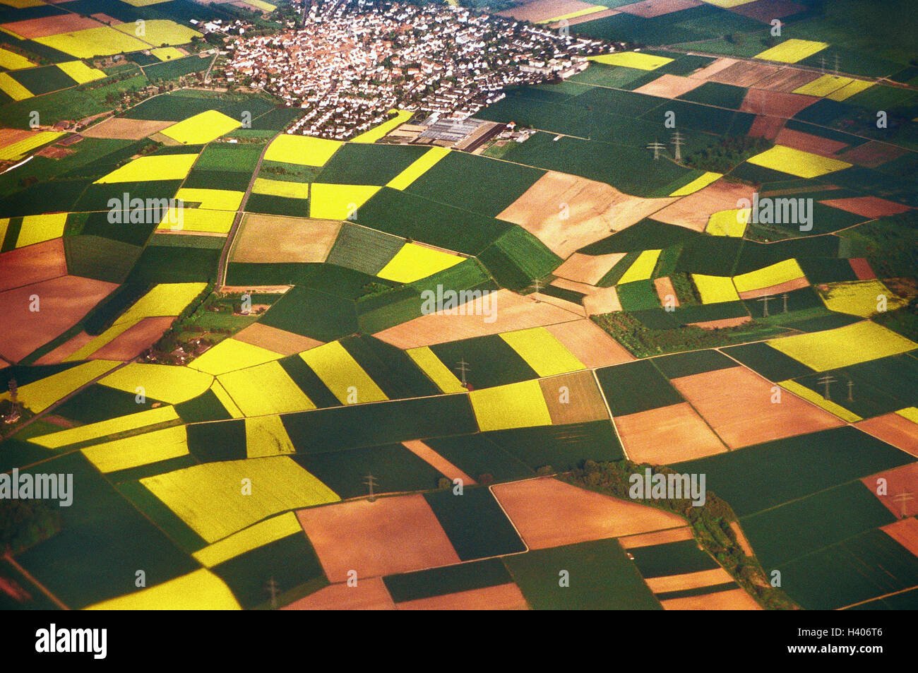 The Netherlands, field scenery, tulip fields, aerial shots, Europe ...