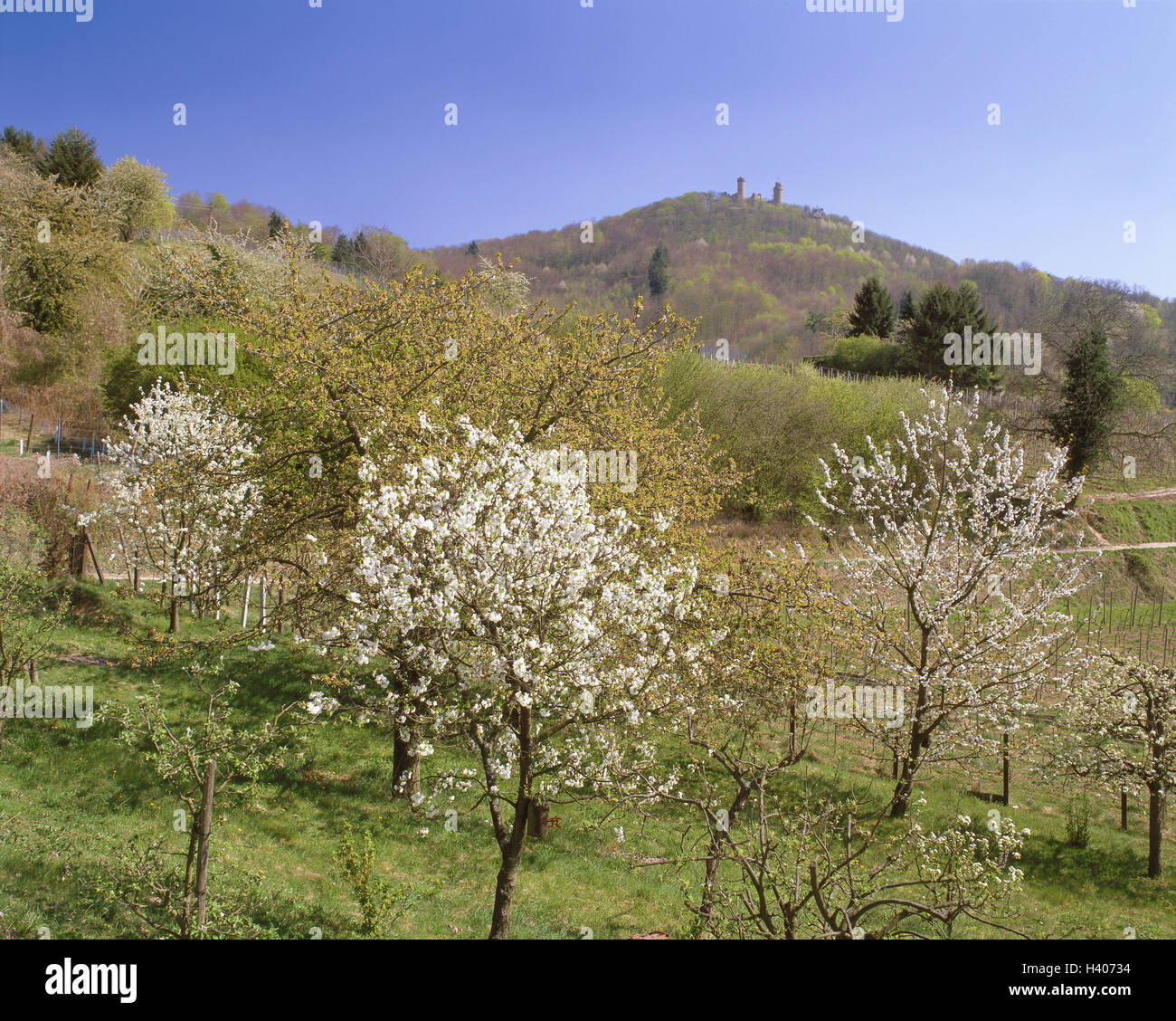 Brook auer hi-res stock photography and images - Alamy