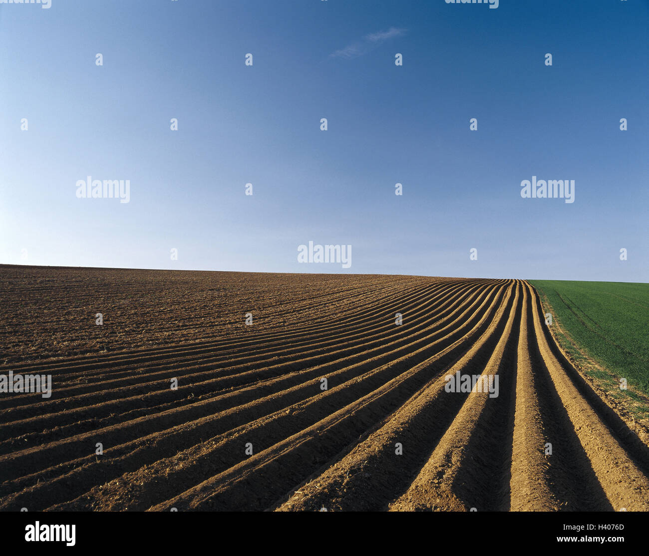 Agriculture, field, furrowedly, field scenery, field economy ...