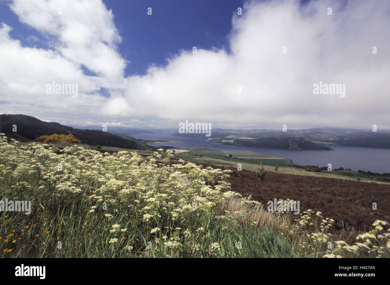 Great Britain, Scotland, highlands, Dornoch Firth, scenery, overview ...