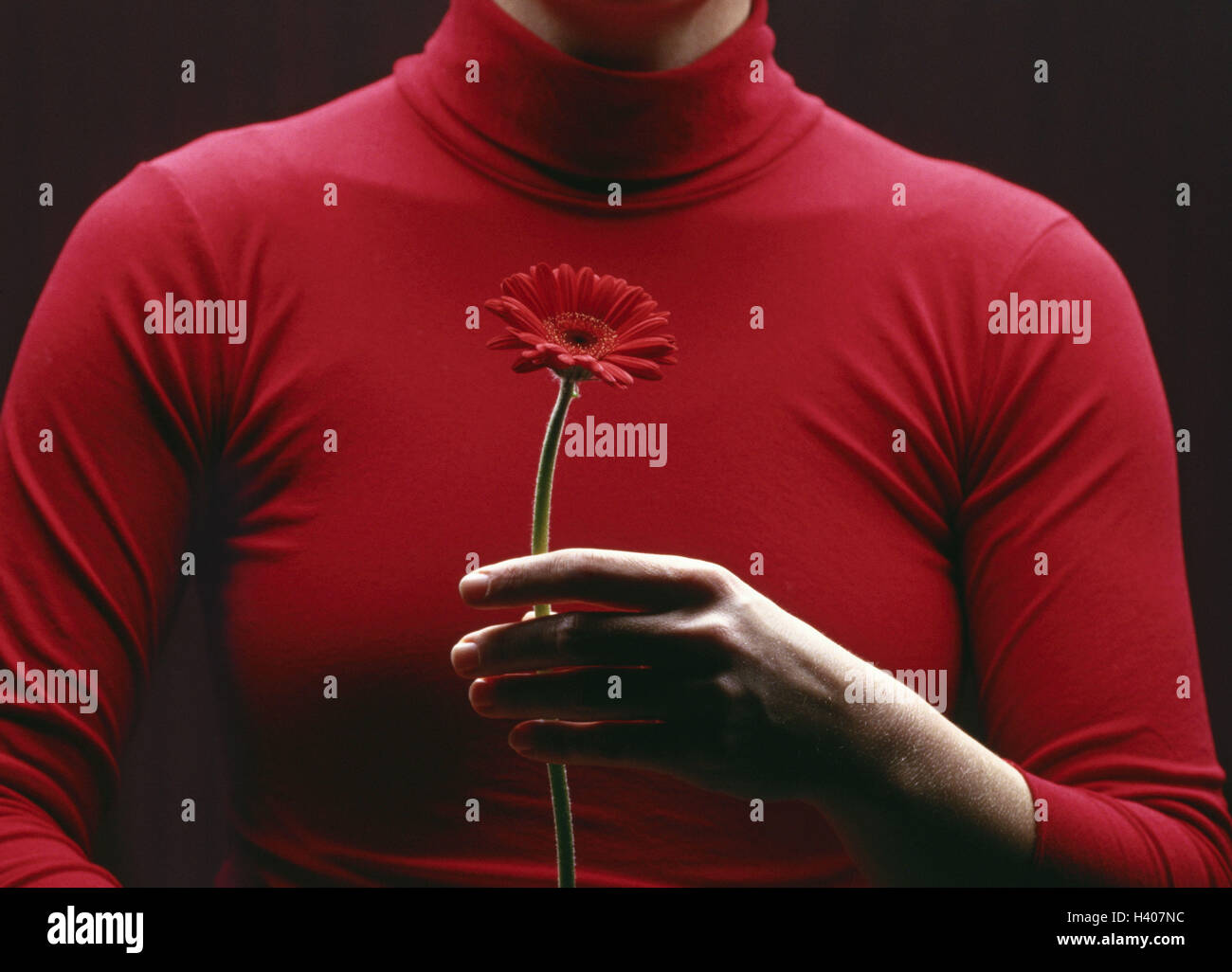 Curled upper hi-res stock photography and images - Alamy