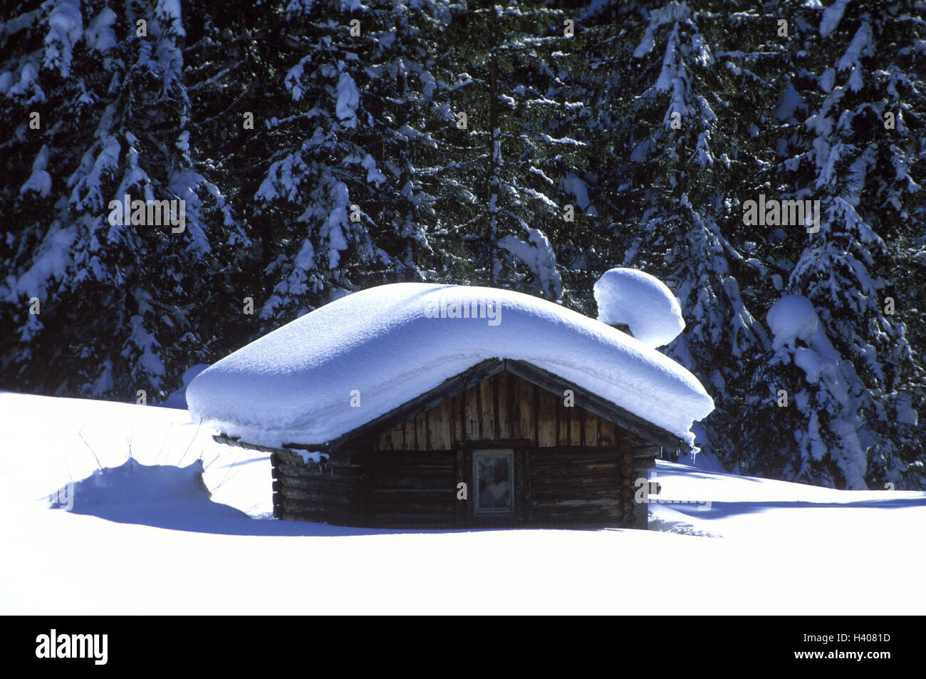 Edge the forest, wooden hut, snow-covered, winter hut, hay barn, barn ...