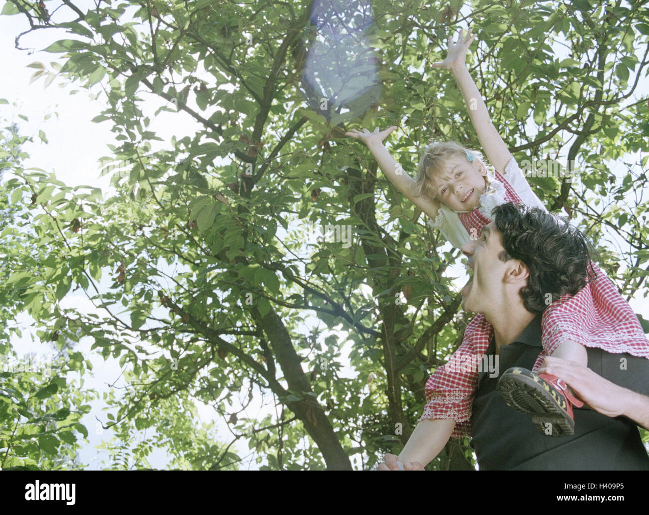 Garden, father, subsidiary, shoulders carry, from below, man, parent ...