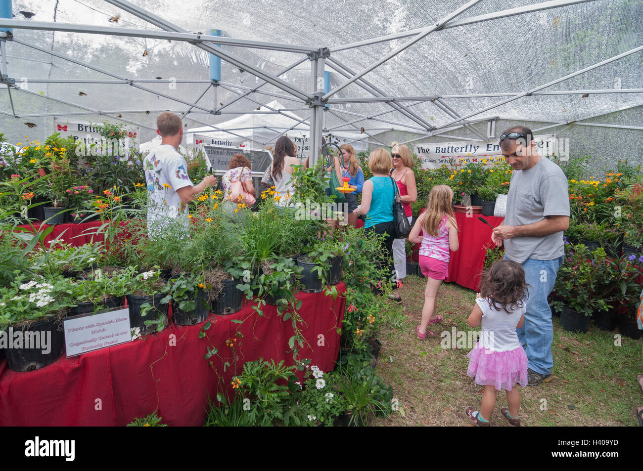 Butterfly house at a spring garden festival in Florida Stock Photo - Alamy