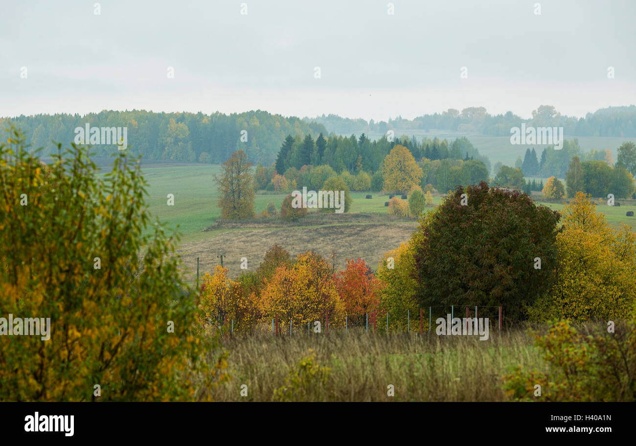 Village nature view hi-res stock photography and images - Alamy