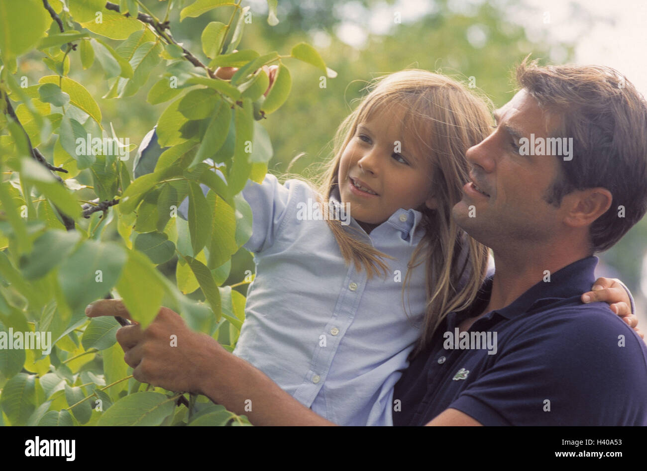 Father, subsidiary, carry, look, tree, portrait, summer, man, single ...