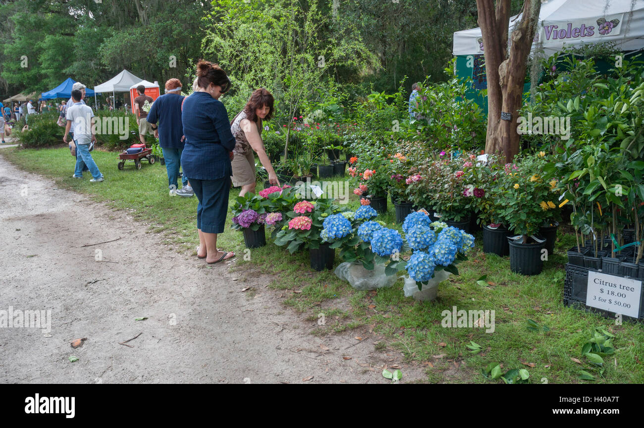 Spring garden festival in a Florida garden Stock Photo - Alamy
