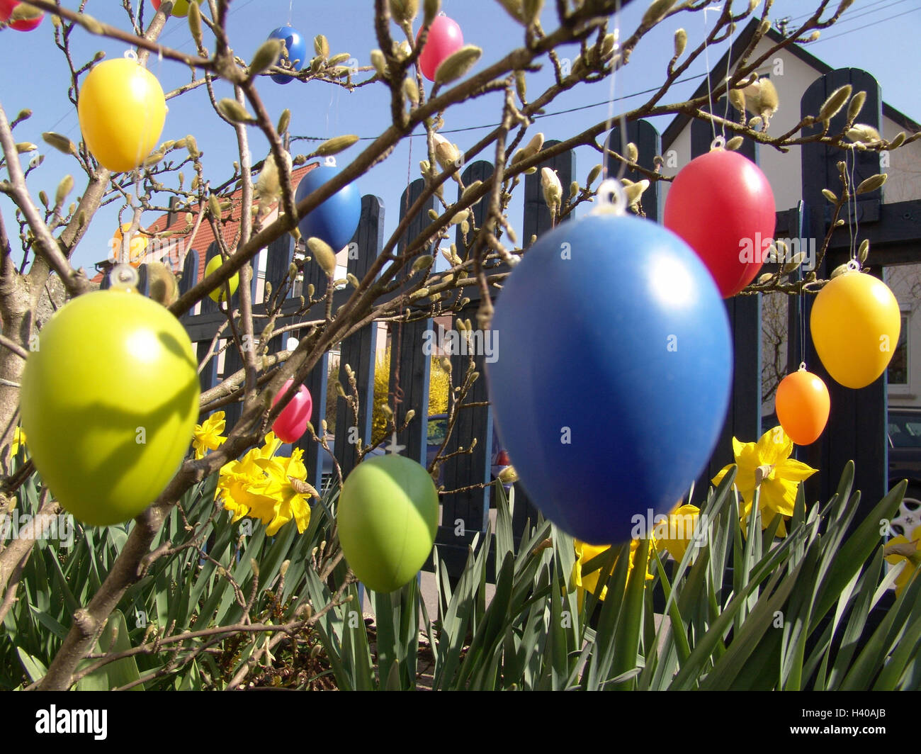 Garden, shrub, magnolia, Easter eggs, flowerbed, narcissi plant ...