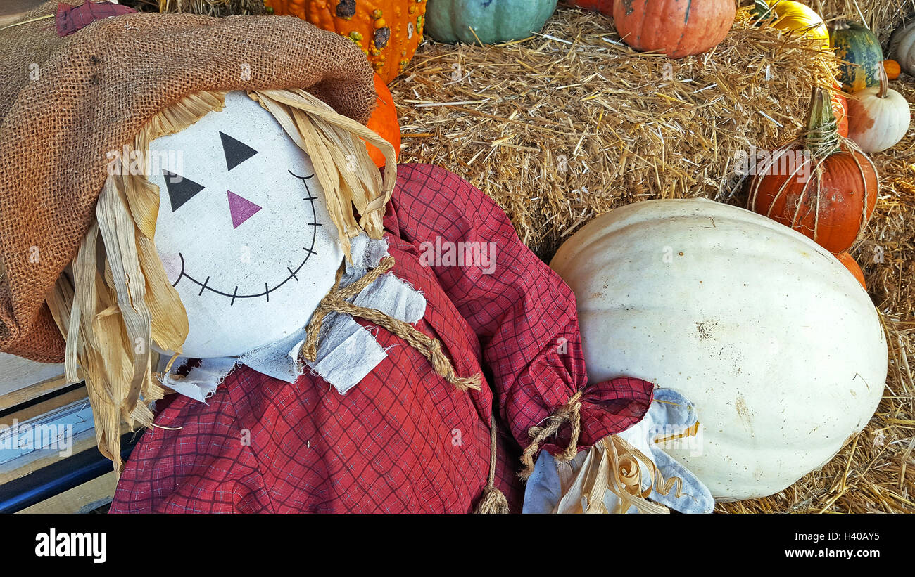 smiling autumn scarecrow with white and orange pumpkins on hay bale ...