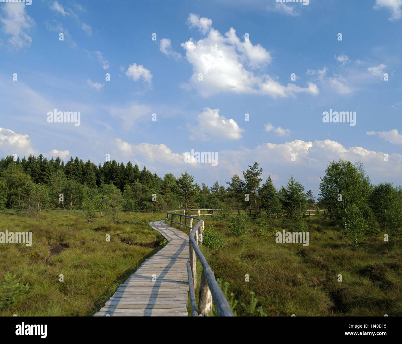 Germany, Bavaria, nature reserve "Black Moore", Scenery, Wooden jetty ...