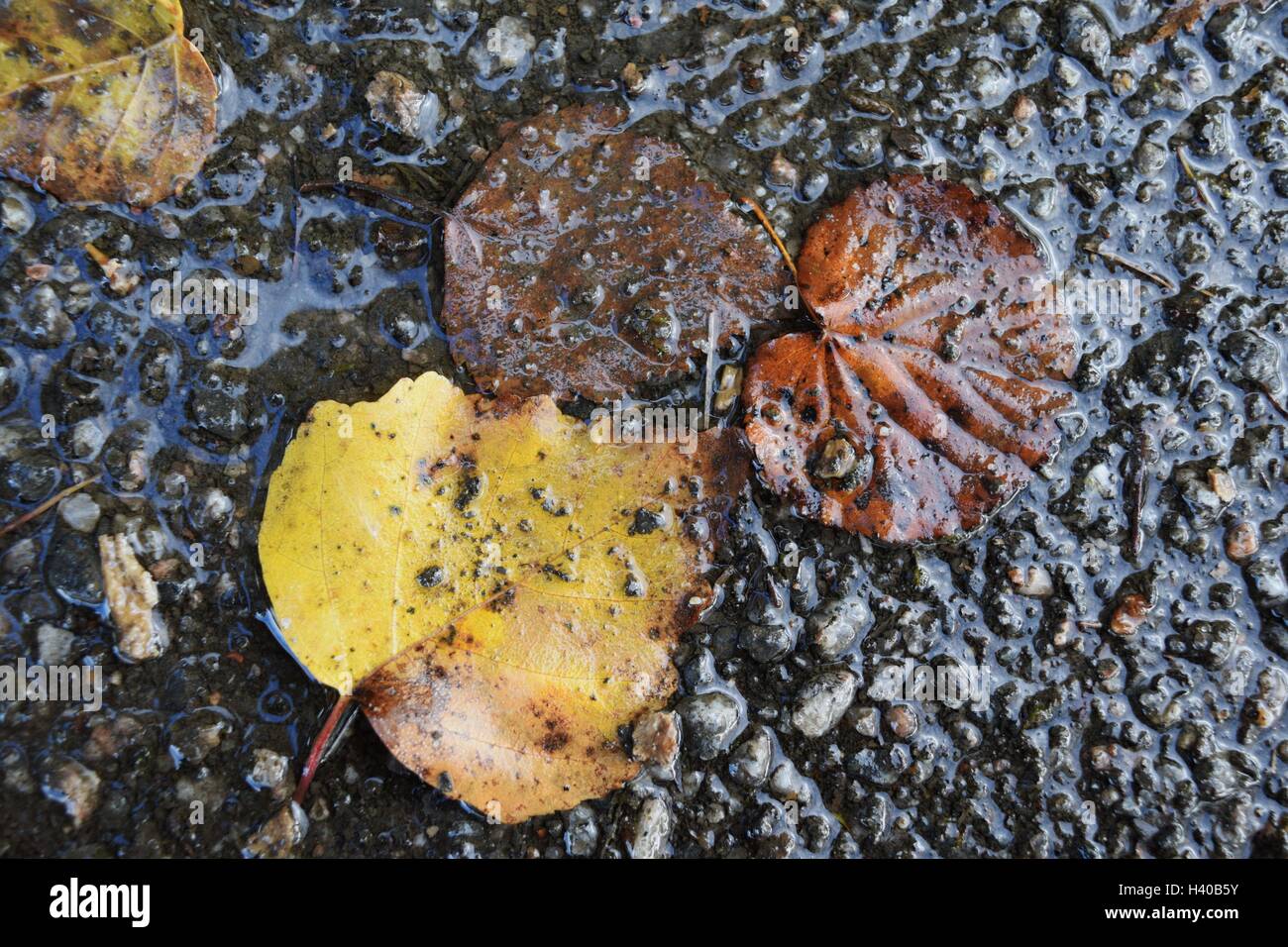 Wet ground hi-res stock photography and images - Alamy