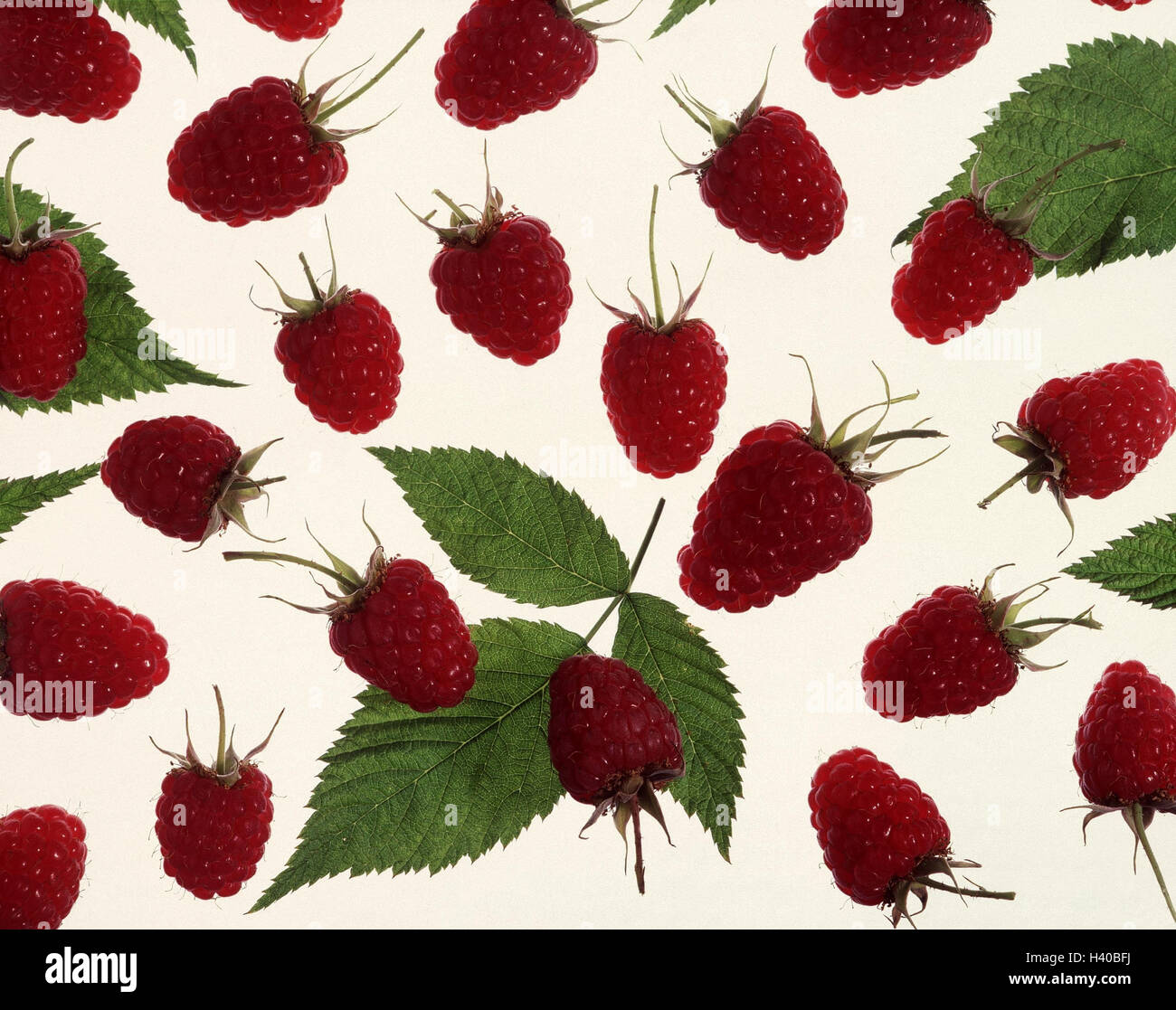 Raspberries, leaves fruits, fruit, berries, eatable, Rubus idaeus Stock ...
