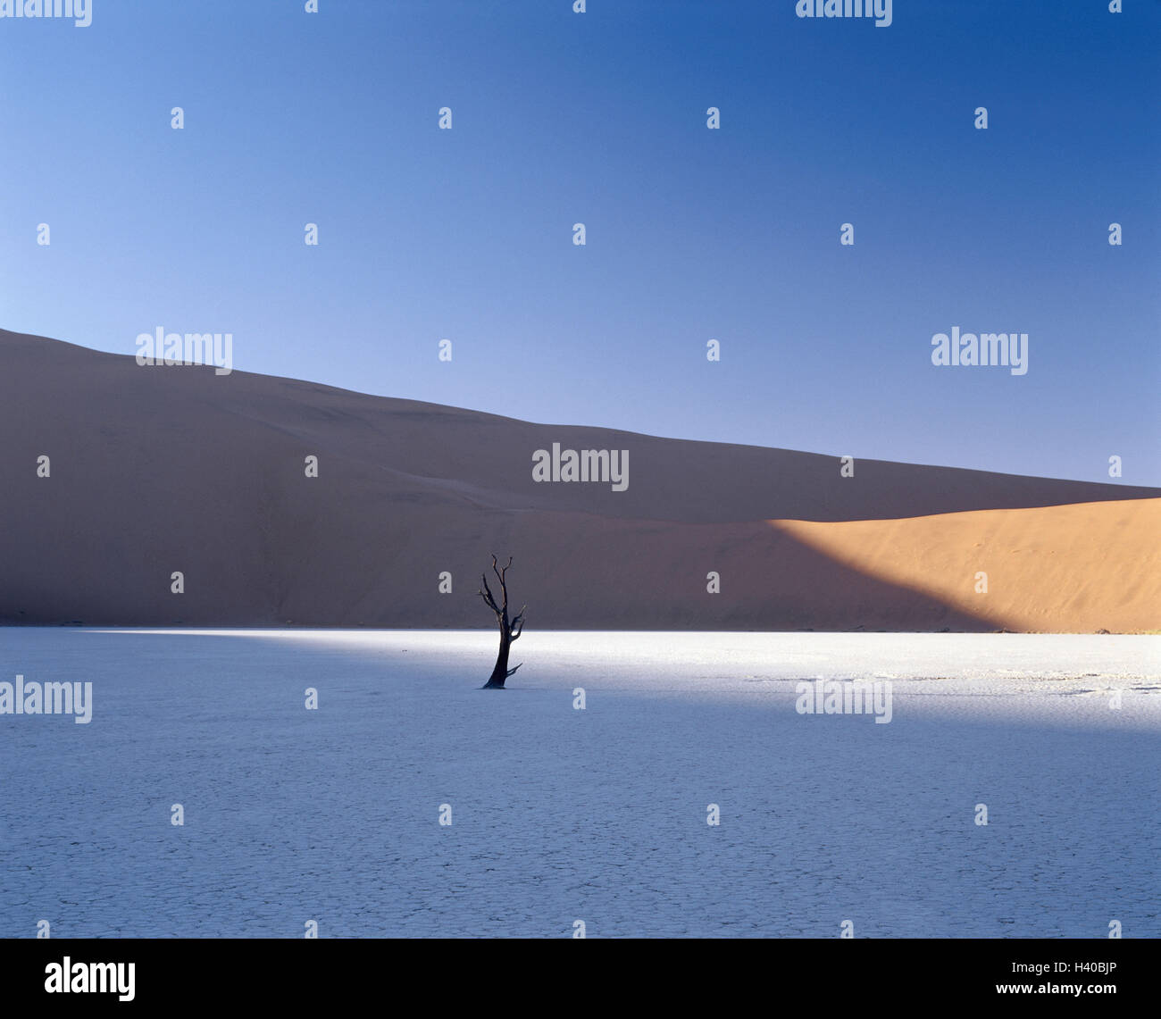 Namibia, desert Namib, Dead Vlei, scenery, tree, deadly, South-West ...