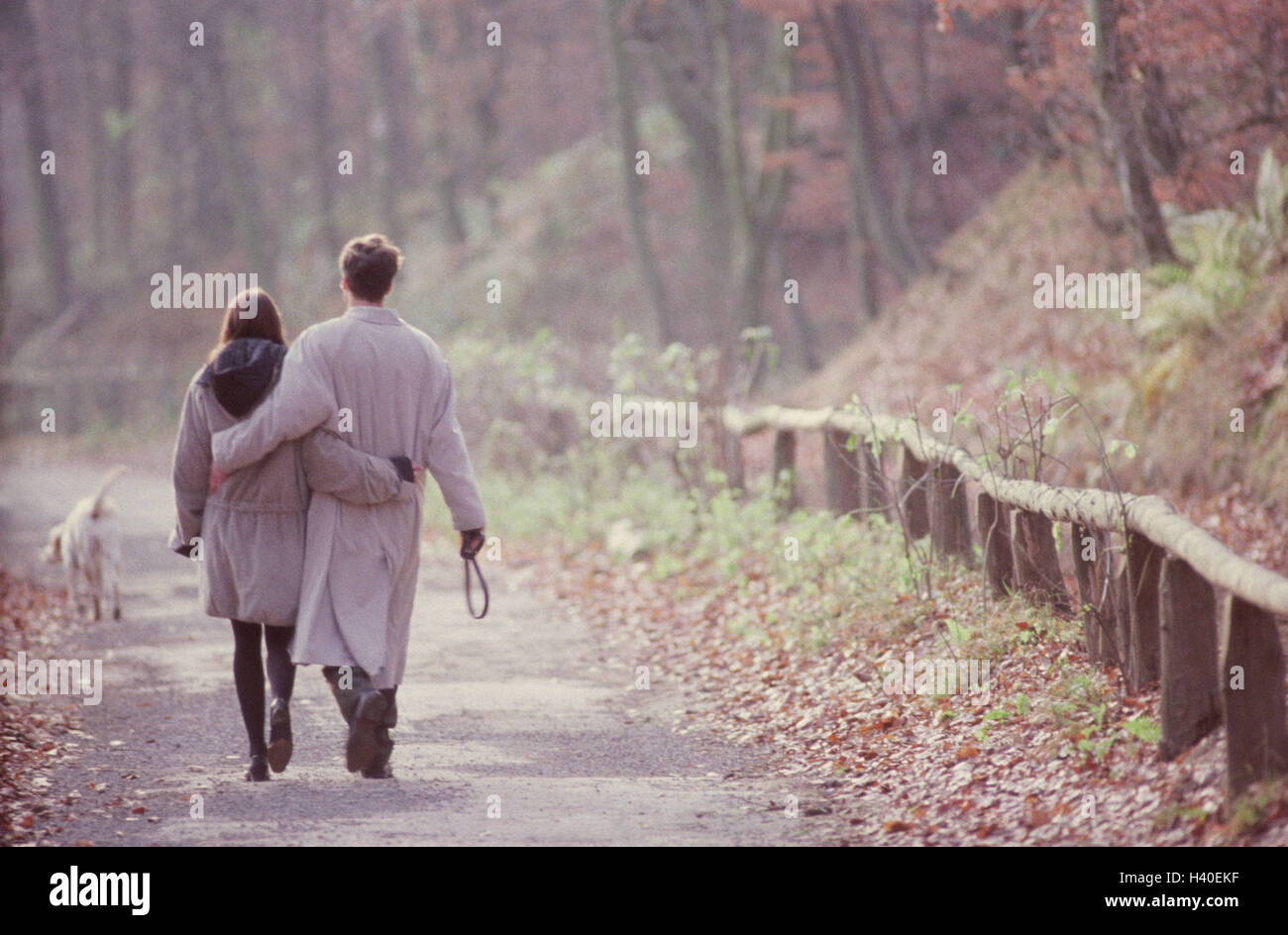 Forest way, couple, arm in arm, walk, dog, back view, autumn ...