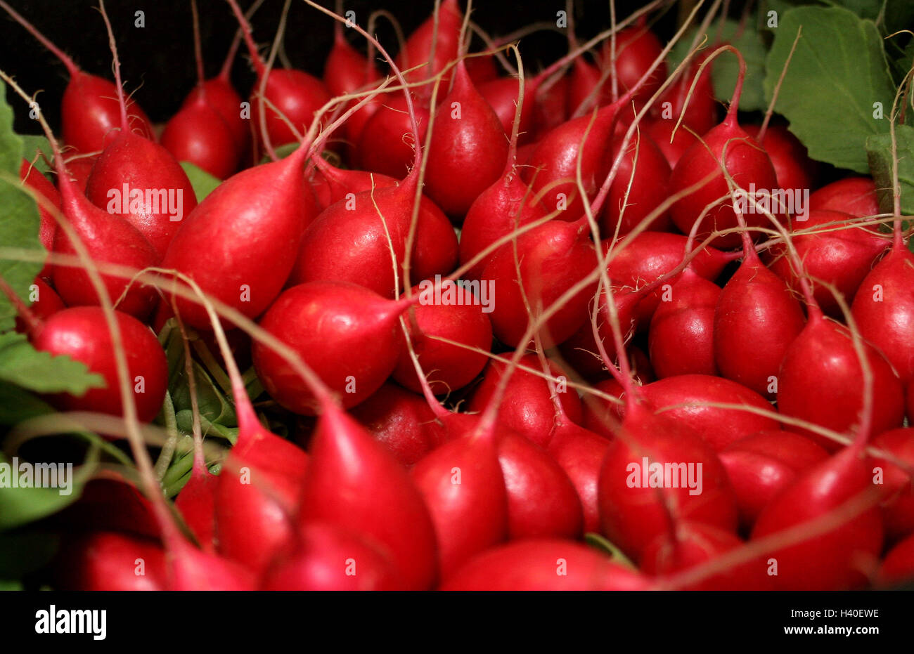 Radishes of different colors hi-res stock photography and images - Alamy