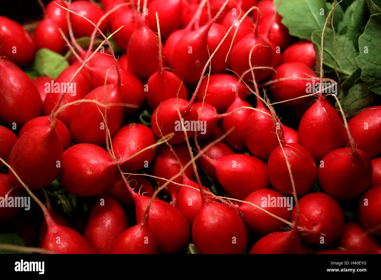 Radishes of different colors hi-res stock photography and images - Alamy