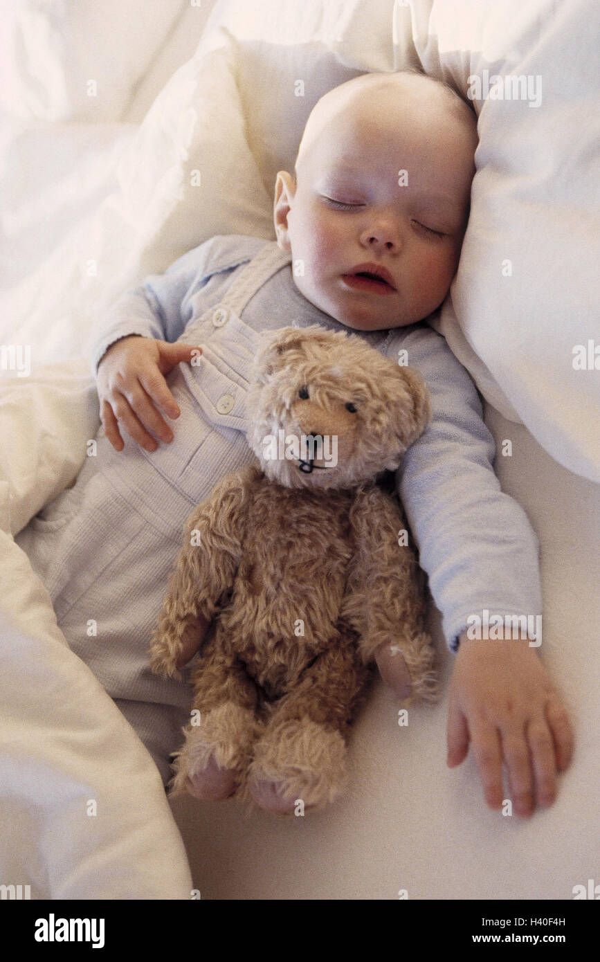 Bed, baby, sleep, teddy bear inside, at home, infant, child, tiredly ...