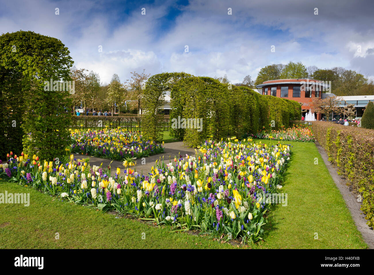 Keukenhof garden in Lisse, Holland, Netherlands Stock Photo - Alamy