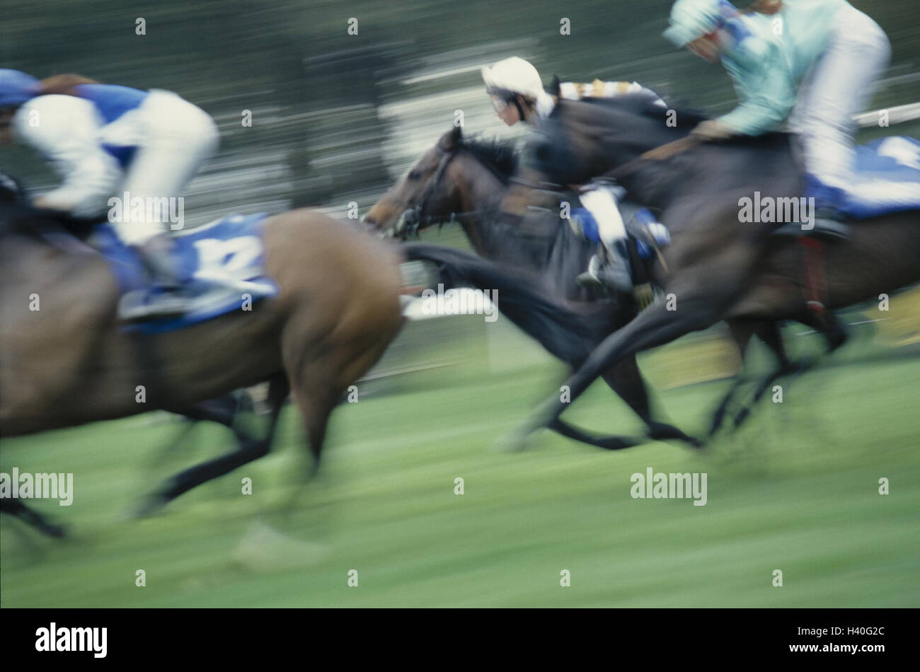 Gallop races, detail, blur, side view, racecourse, horse's racecourse ...