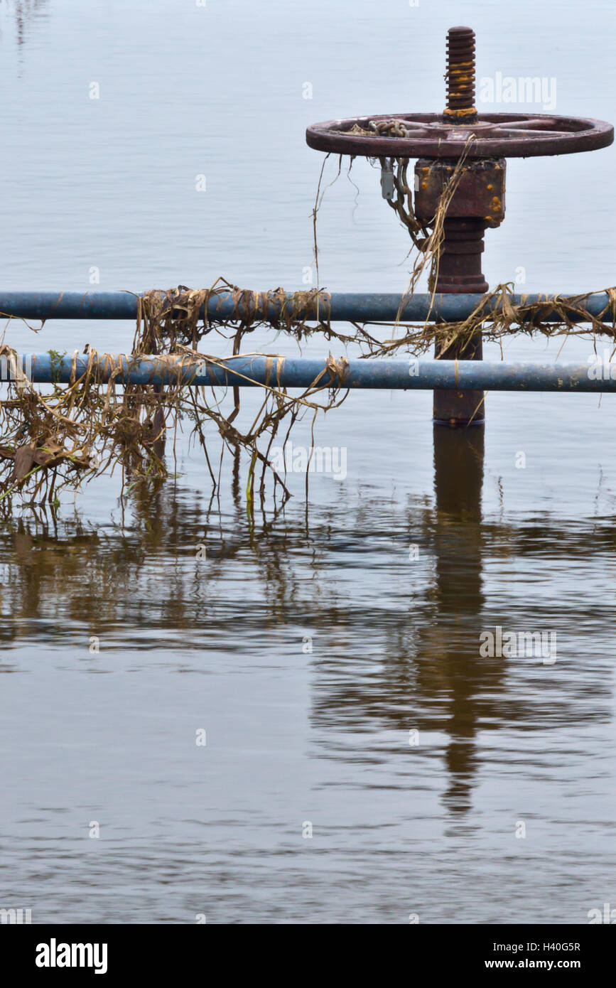 A sluice gate starting to uncover as flood waters recede across Curry ...