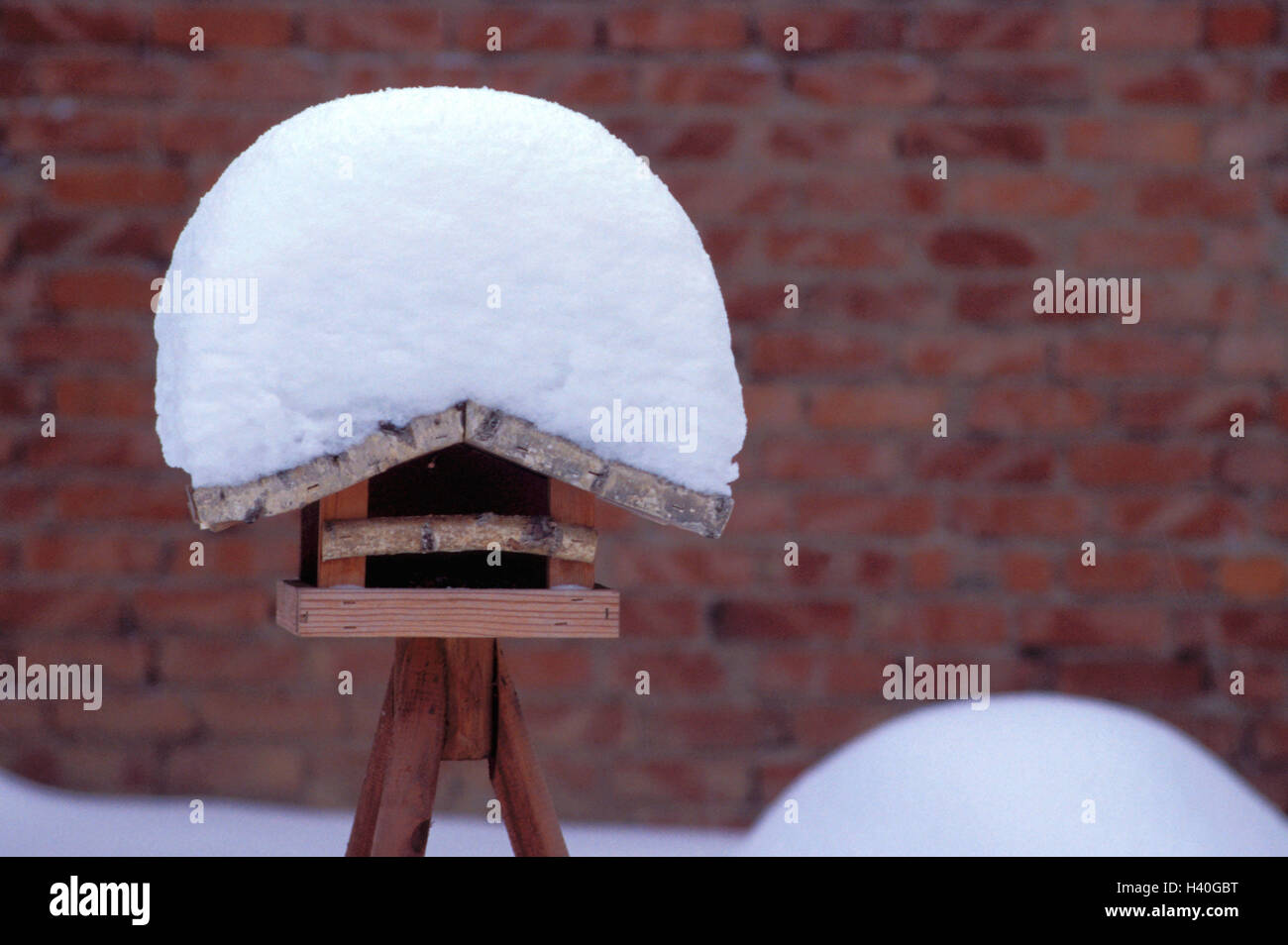 Garden, bird house, winter, aviary, snow-covered, animals, birds ...
