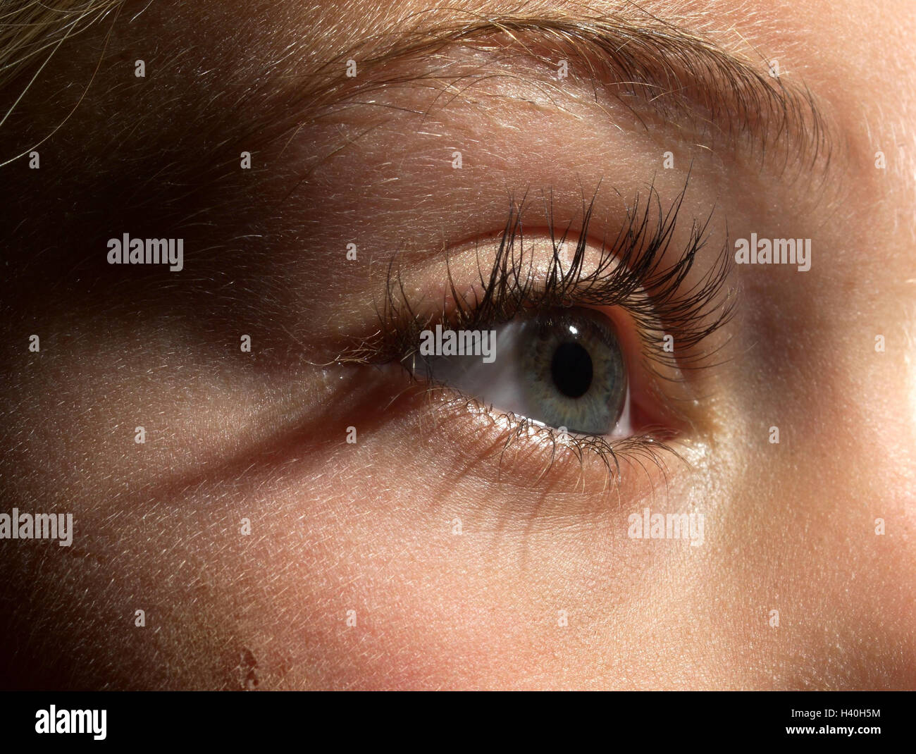 Woman, look, detail, eye, young, eye area, blue eyes, view, perception ...