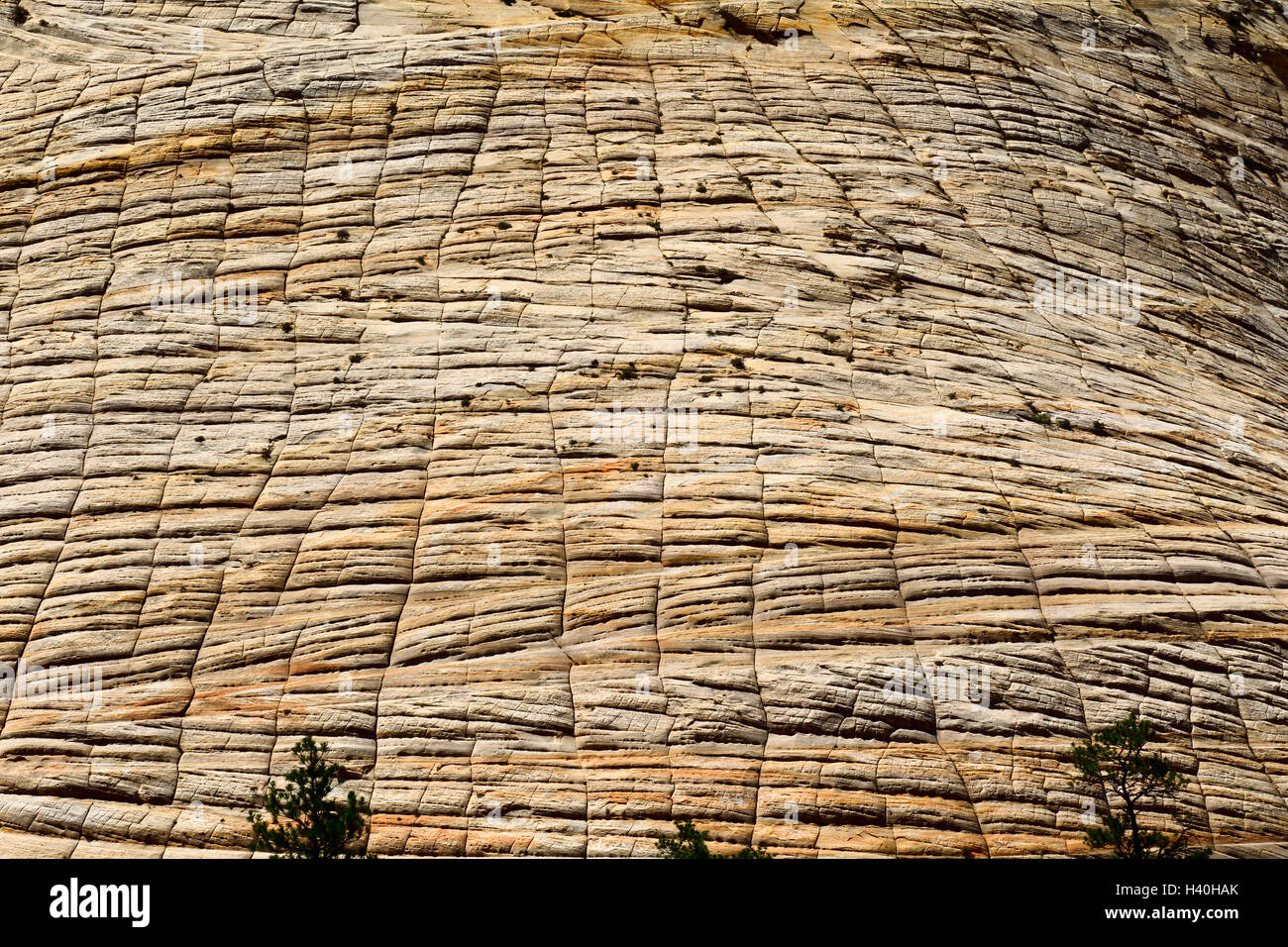 Zion National Park, Utah Rock Formations Stock Photo - Alamy