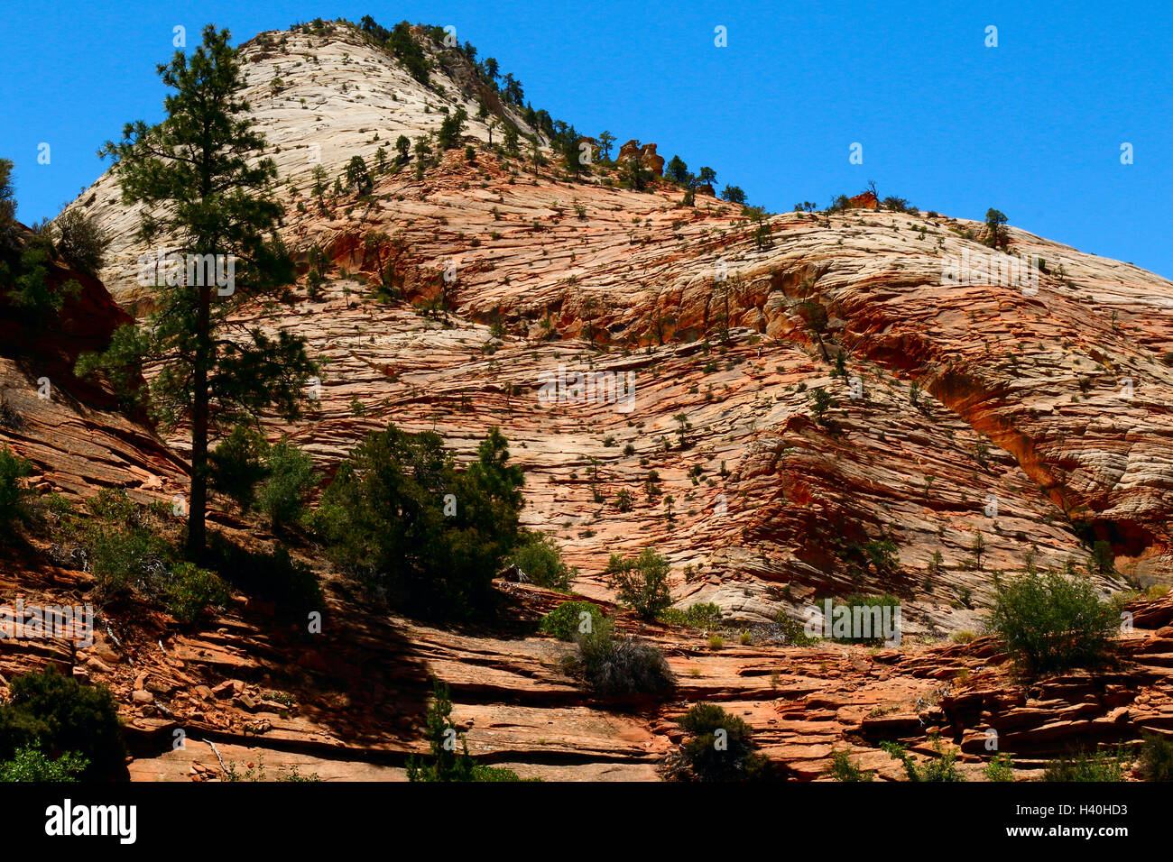 Zion National Park, Utah Rock Formations Stock Photo - Alamy