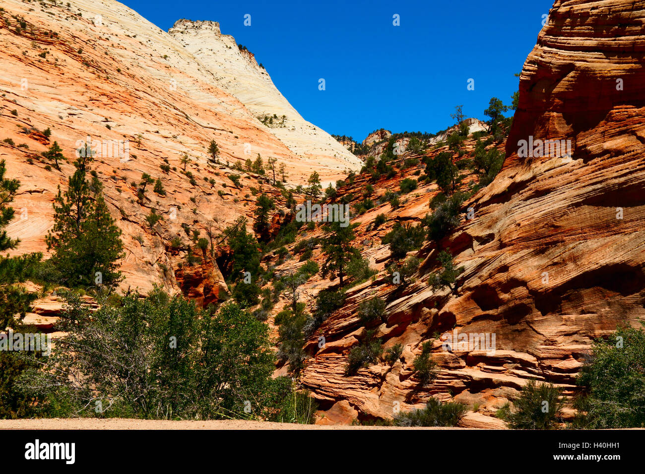 Zion National Park, Utah Rock Formations Stock Photo - Alamy