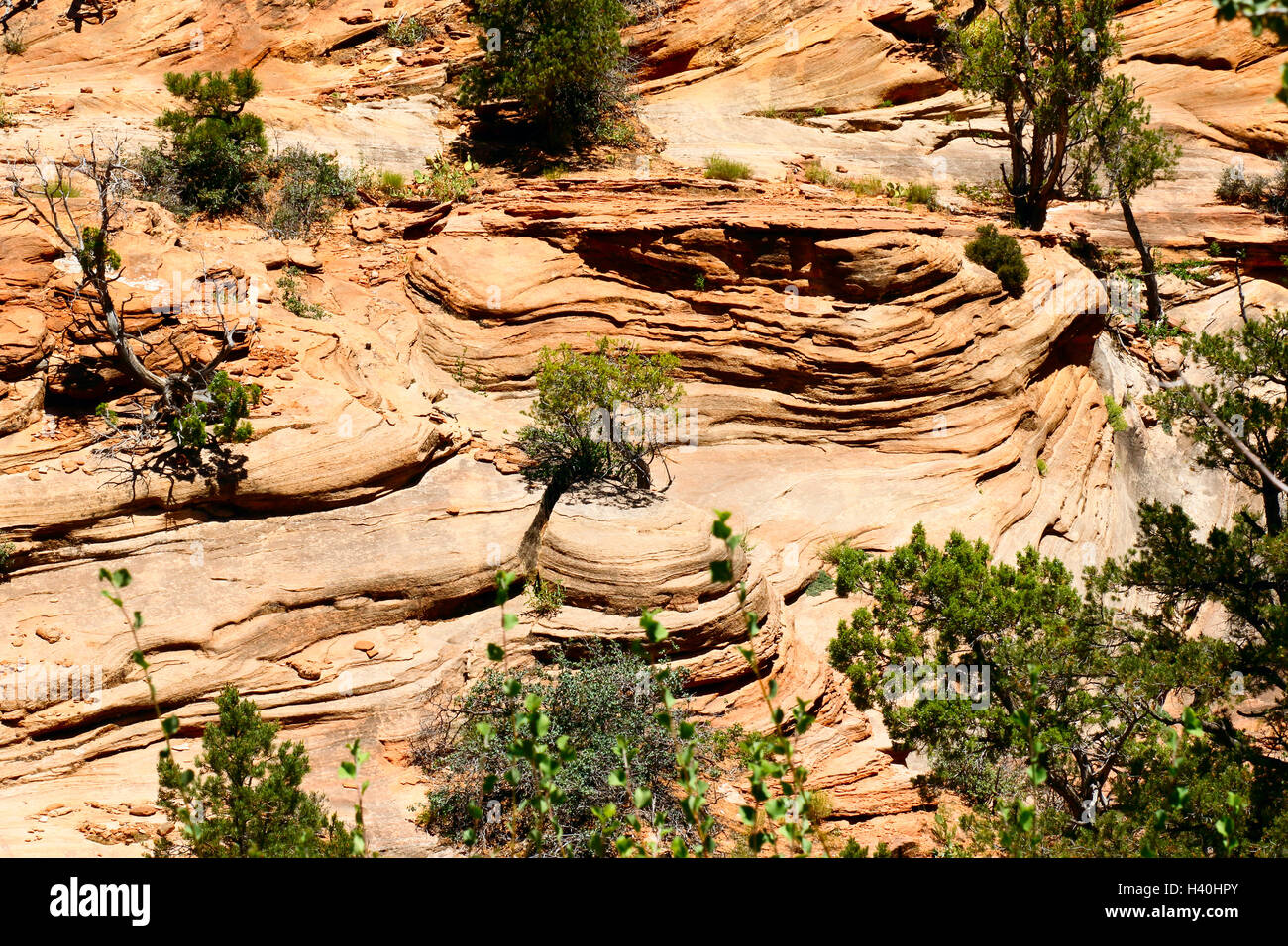 Zion National Park, Utah Rock Formations Stock Photo - Alamy