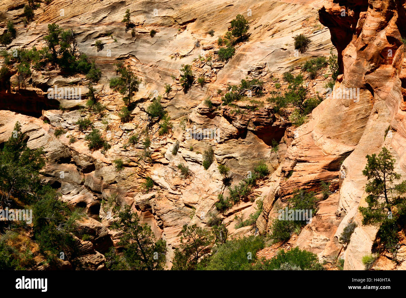 Zion National Park, Utah Rock Formations Stock Photo - Alamy