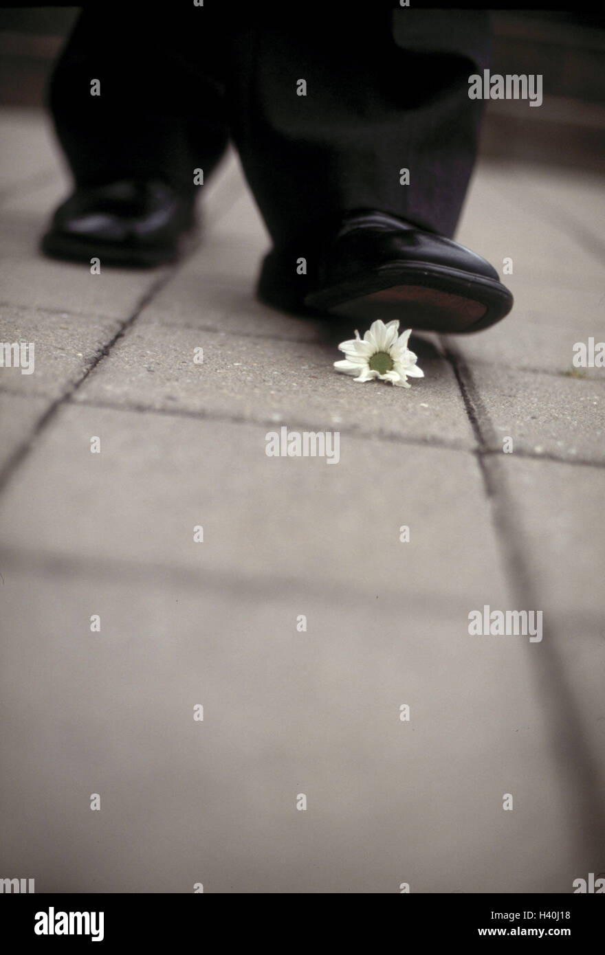 Lords shoe hi-res stock photography and images - Alamy
