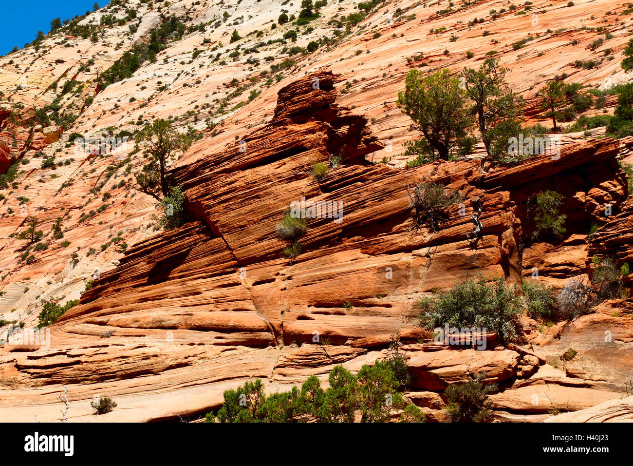 Zion National Park, Utah Rock Formations Stock Photo - Alamy