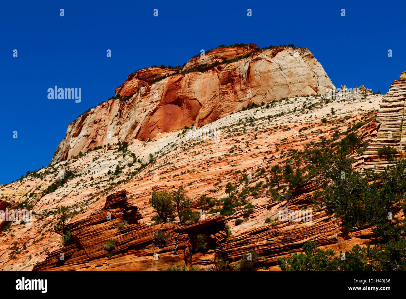 Zion National Park, Utah Rock Formations Stock Photo - Alamy
