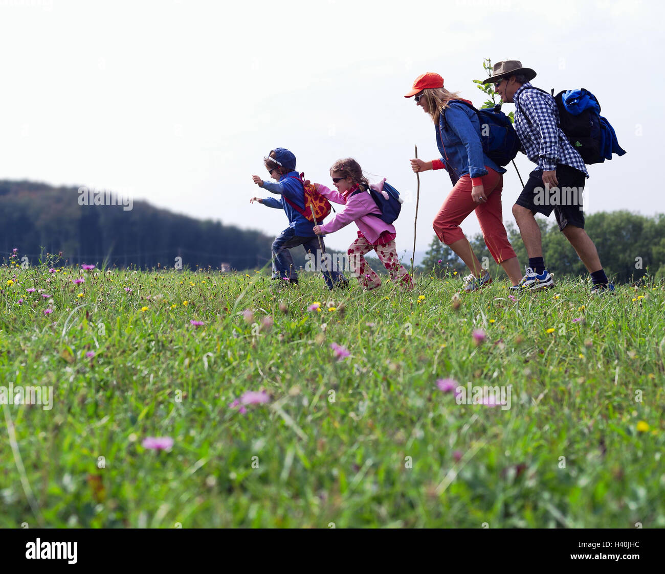 Meadow, family, walk, side view, parents, nut, father, children, two ...