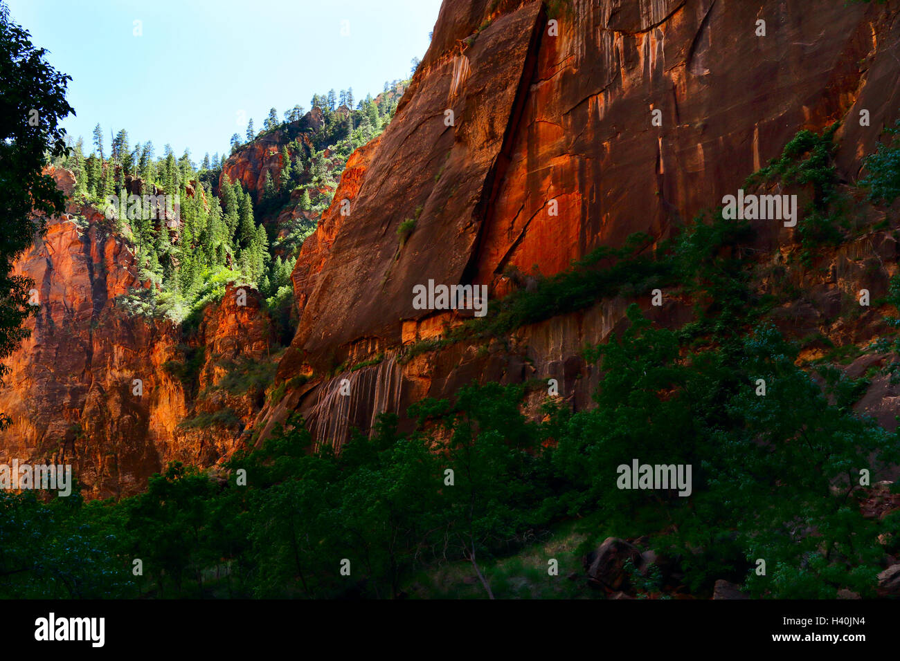 Zion National Park, Utah Rock Formations Stock Photo - Alamy