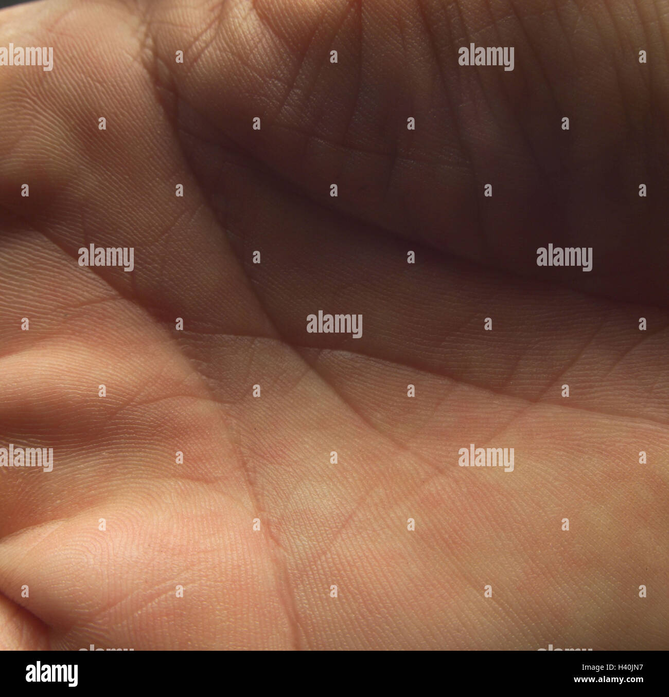 Palm, lines, close up, very close, hand, inner surface, hand inner ...