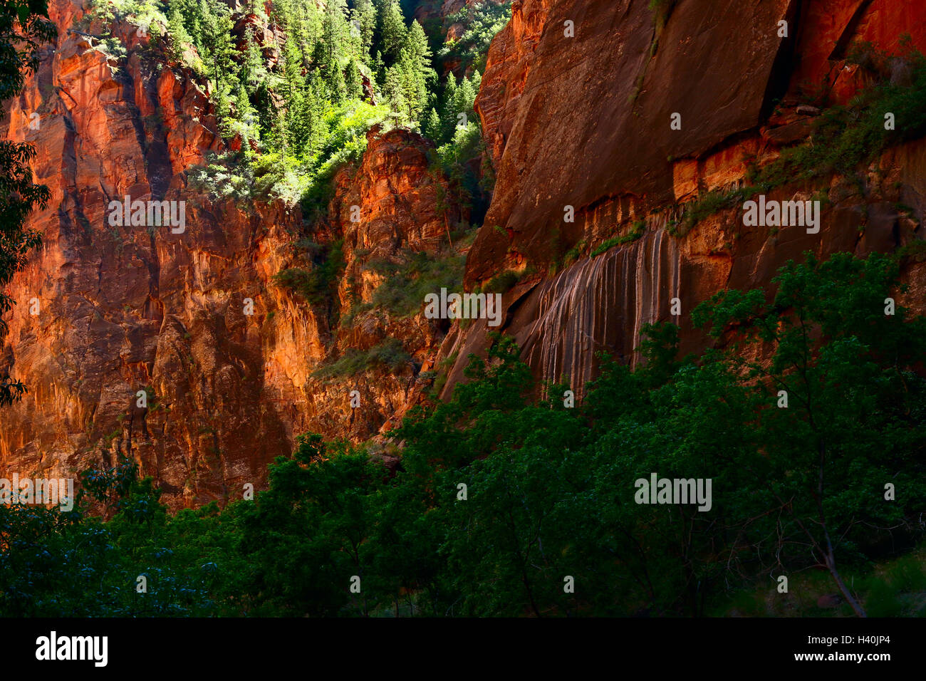 Zion National Park, Utah Rock Formations Stock Photo - Alamy
