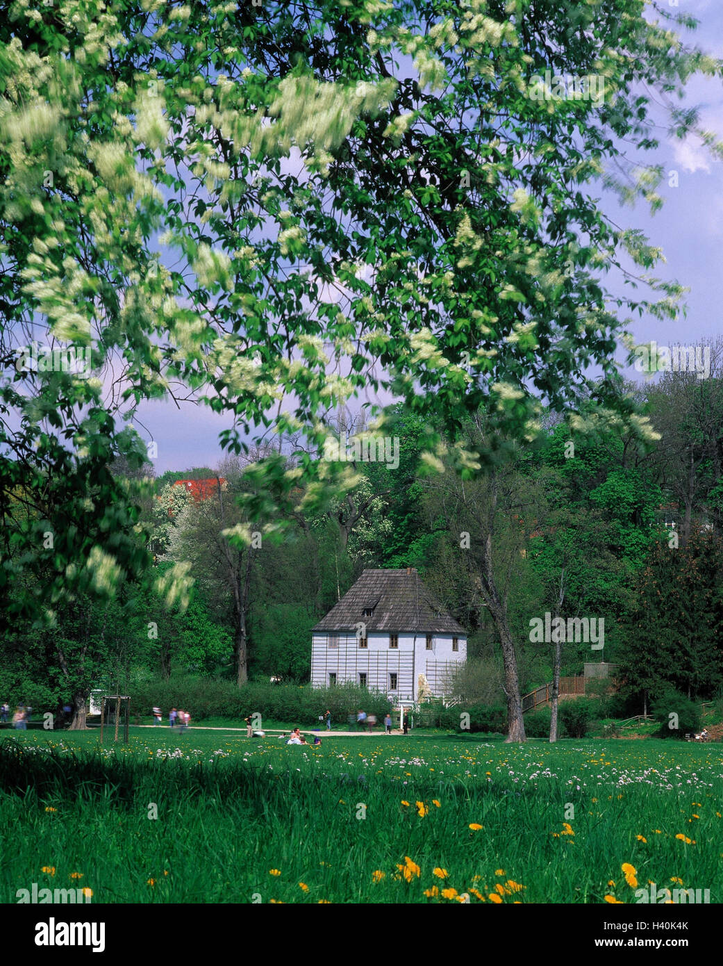 Germany, Thuringia, Weimar, summer house of Goethe, spring, park, park ...