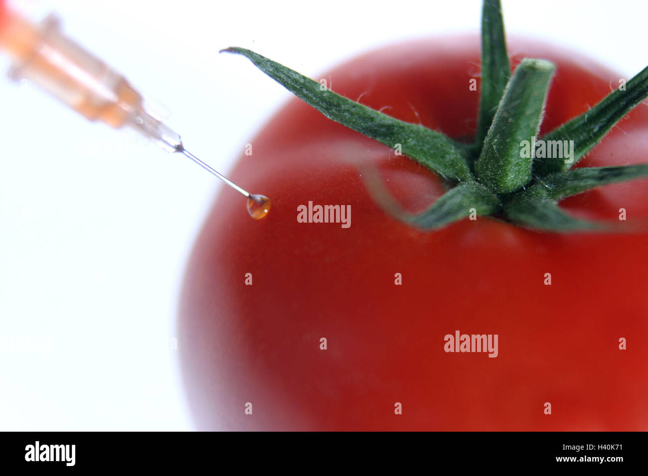 Genetic Engineering Vegetables