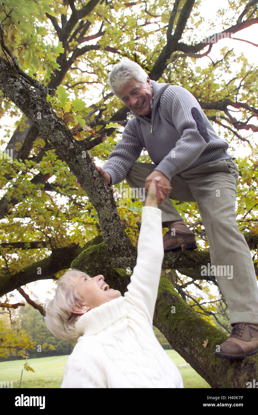 Tree, Senior couple, happy, climb, detail, couple, senior citizens ...