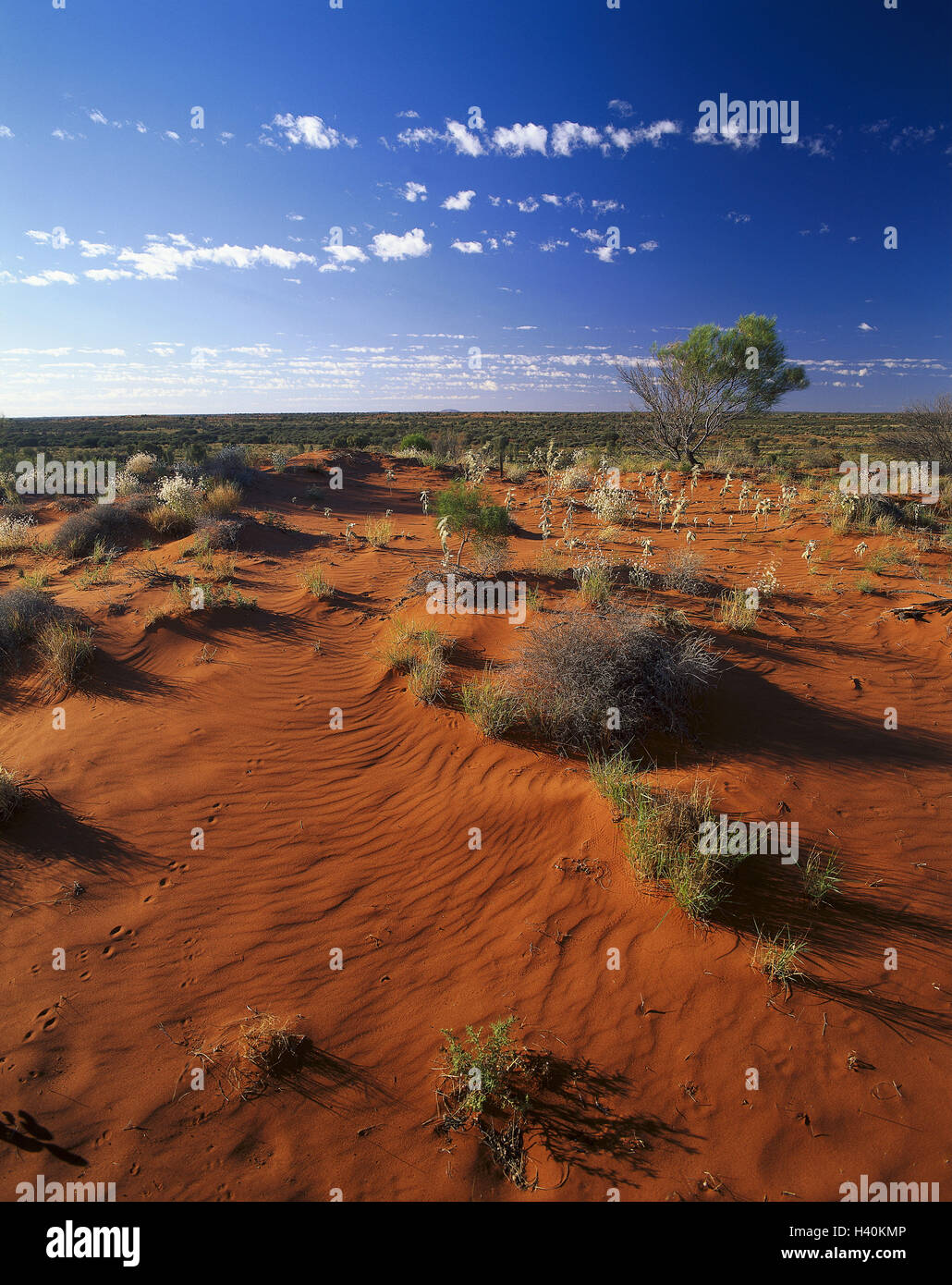 Australia, to Northern Territory, out cheek, desert, inland, scenery ...
