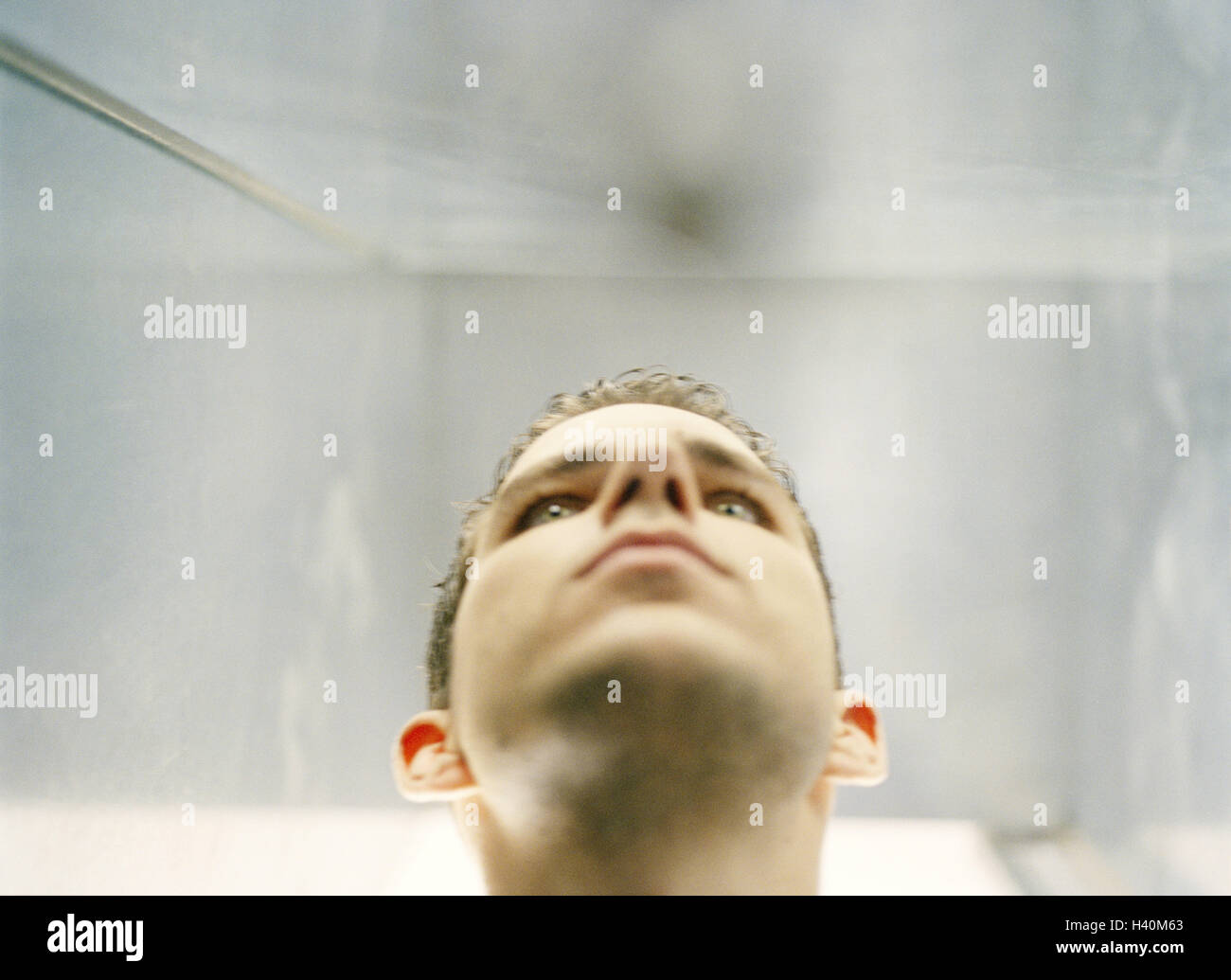 Man, young, portrait, from below, man's portrait, look, young, youth ...