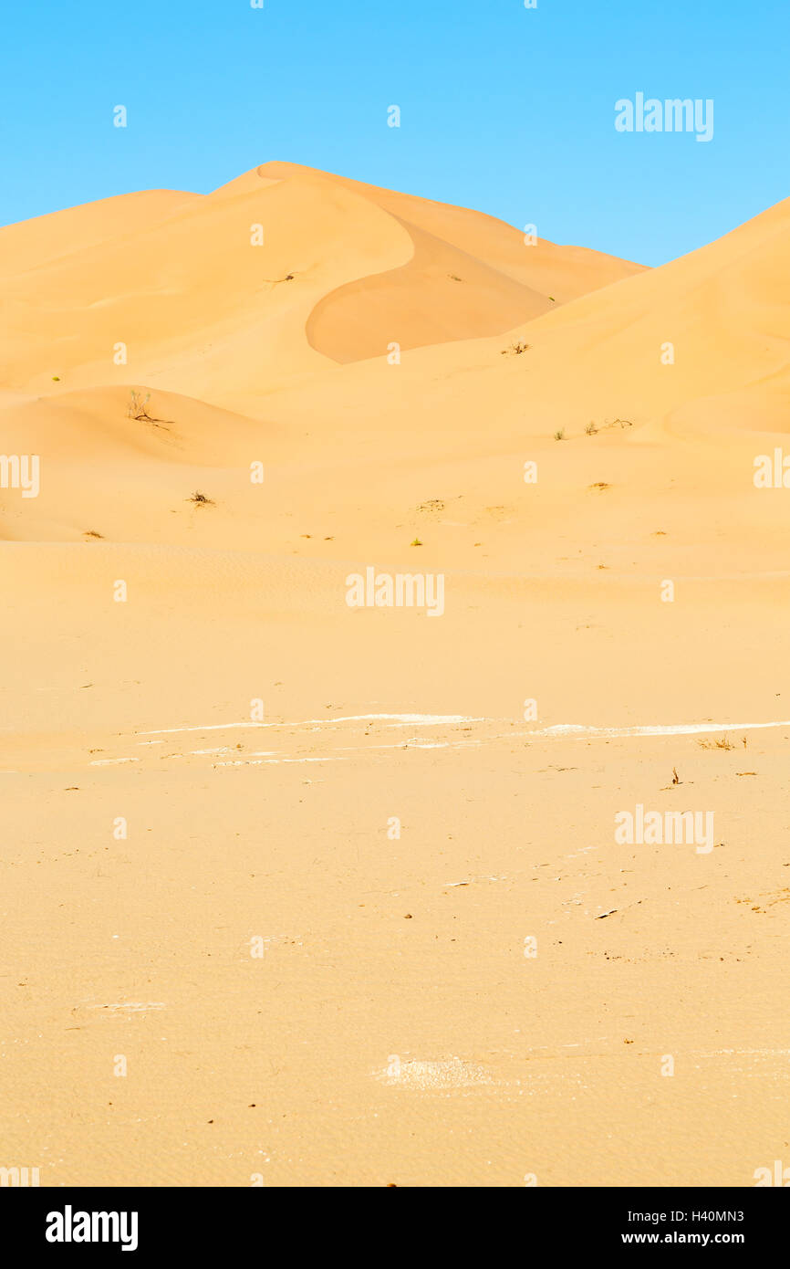the empty quarter and outdoor sand dune in oman old desert rub al khali ...