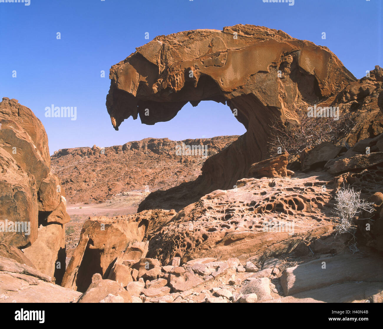 Namibia, Damaraland, Twyfelfontein, bile bow, Africa, bile formation ...