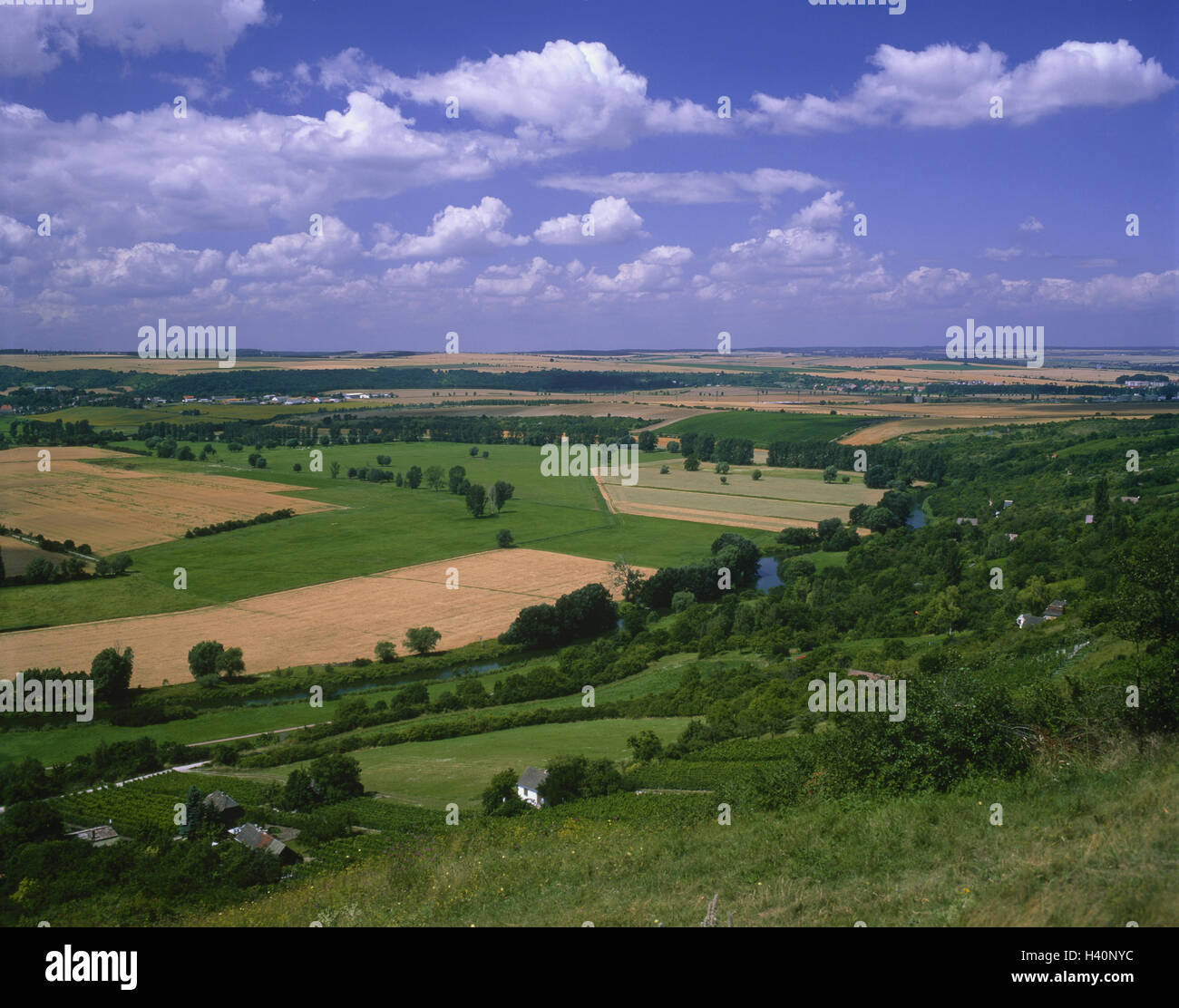 Germany, Thuringia, Unstruttal with, castle Frey, field scenery ...