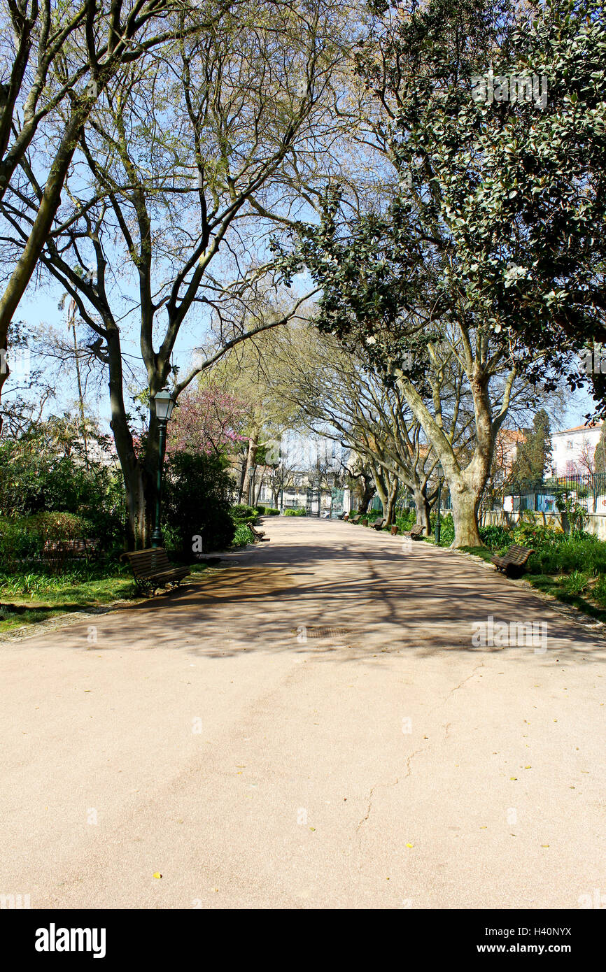 Estrela garden, Lisbon, Portugal Stock Photo - Alamy