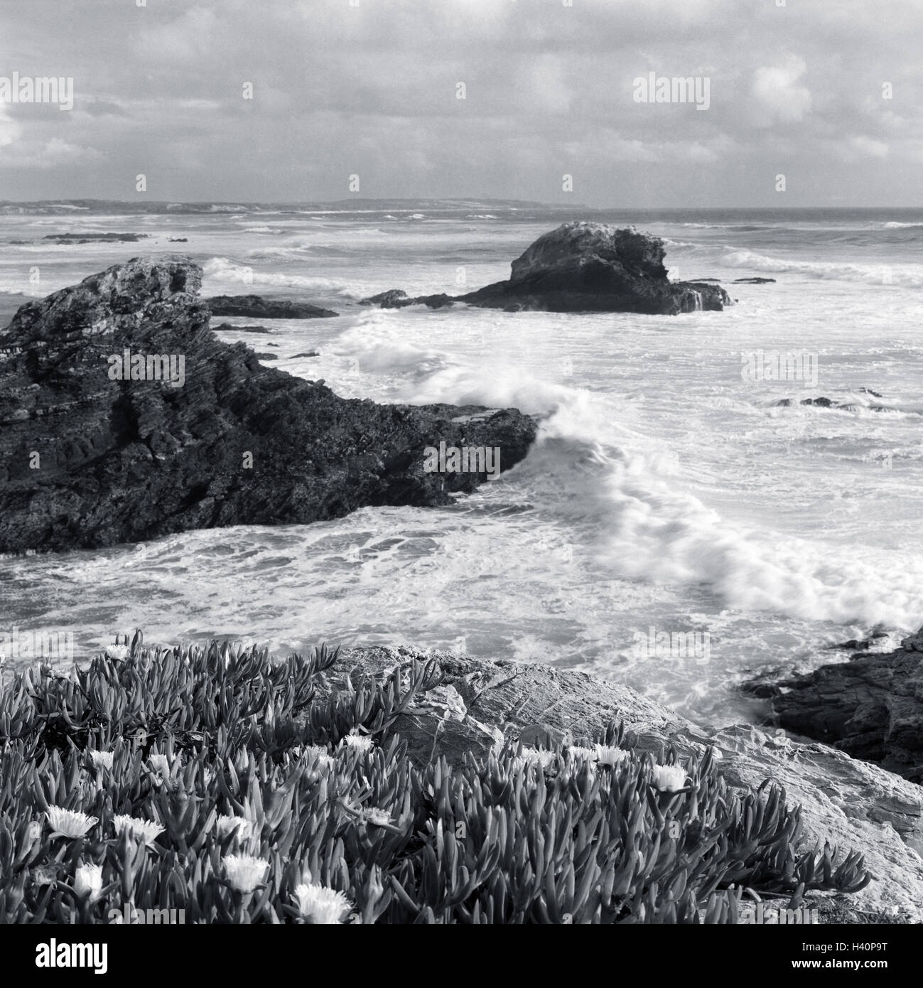 Portugal, Algarve, Vila novas de Milfontes, Coast, sea, surf, s/w ...