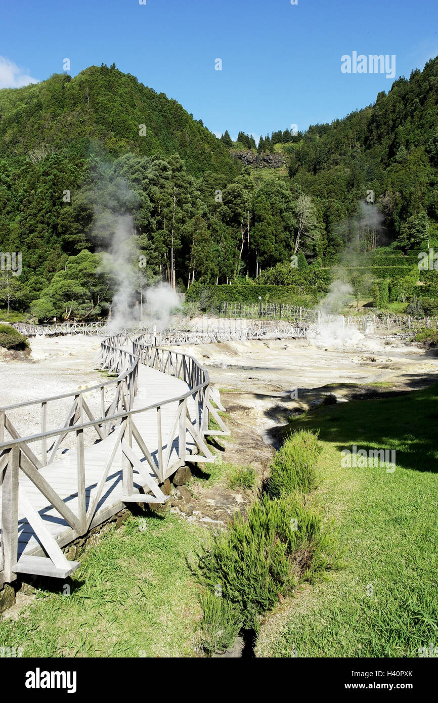 Furnas, Sao Miguel island, Portugal Stock Photo - Alamy